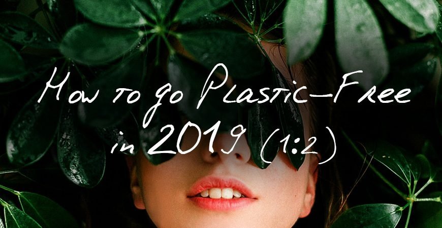 How to go Plastic-Free in 2019 - Peace With The Wild