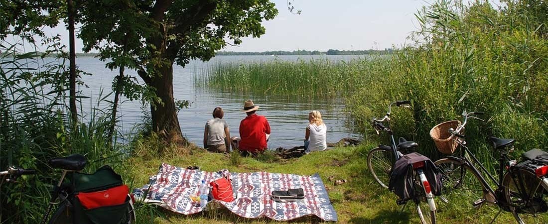 The Road to an Eco-Friendly Adventure - Peace With The Wild
