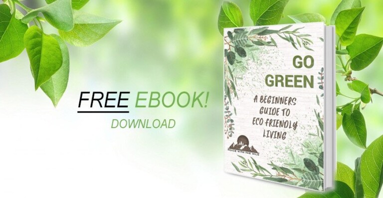 Free eBook: A Beginners Guide To Eco-Friendly Living - PWTW Blog