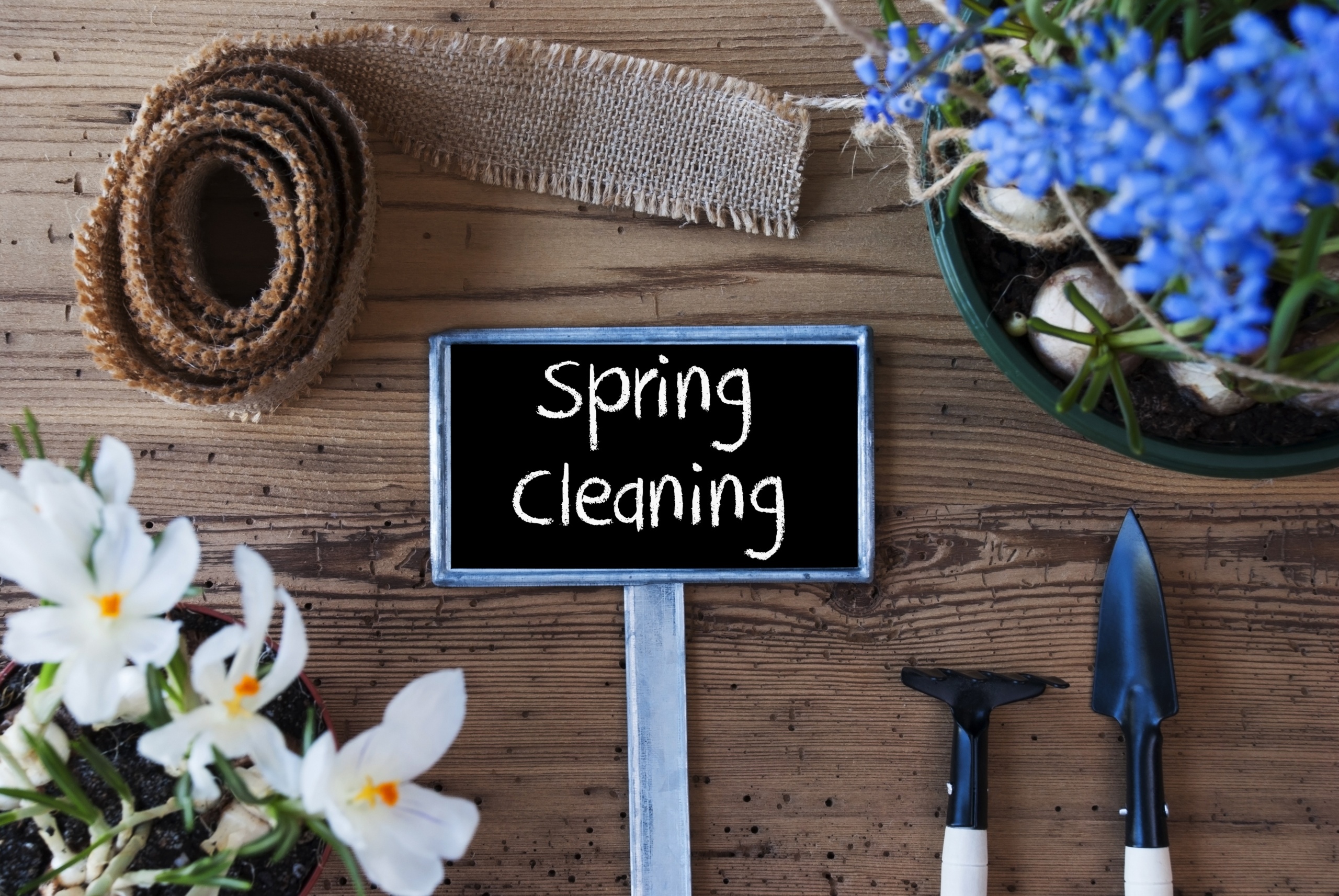 Four Products For A Green Spring Clean - Peace With The Wild Blog