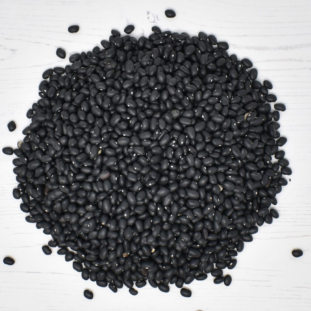 Blackbeans - Peace With The Wild