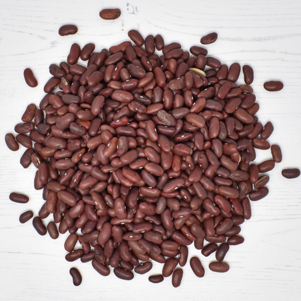Organic Red Kidney Beans - Peace With The Wild
