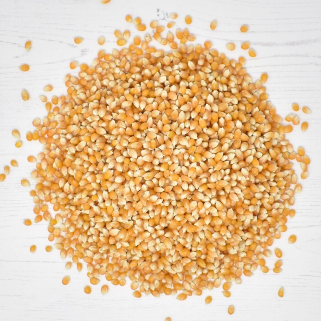 Organic Popping Corn - Peace With The Wild