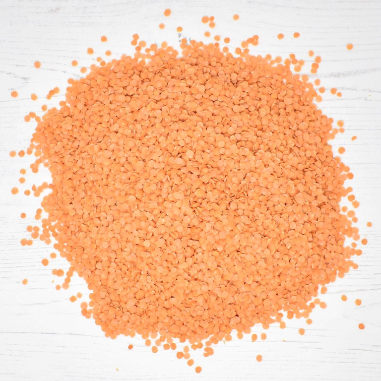 Red Lentils - Peace With The Wild