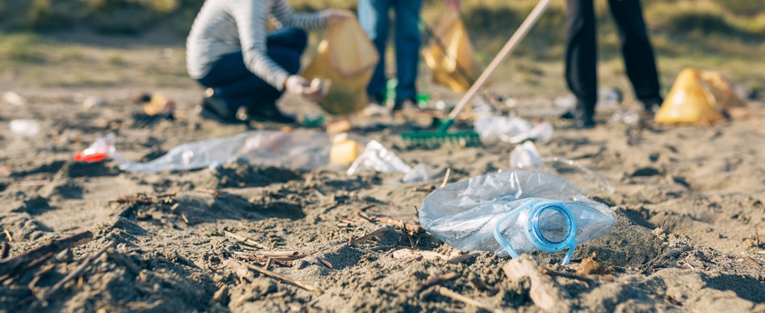Fight Against Trash Where Sea Creatures Splash - PWTW Blog