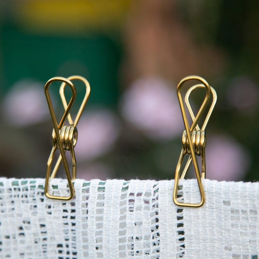 Green Island Stainless Steel Clothes Pegs - 20 Pack - Peace With The Wild