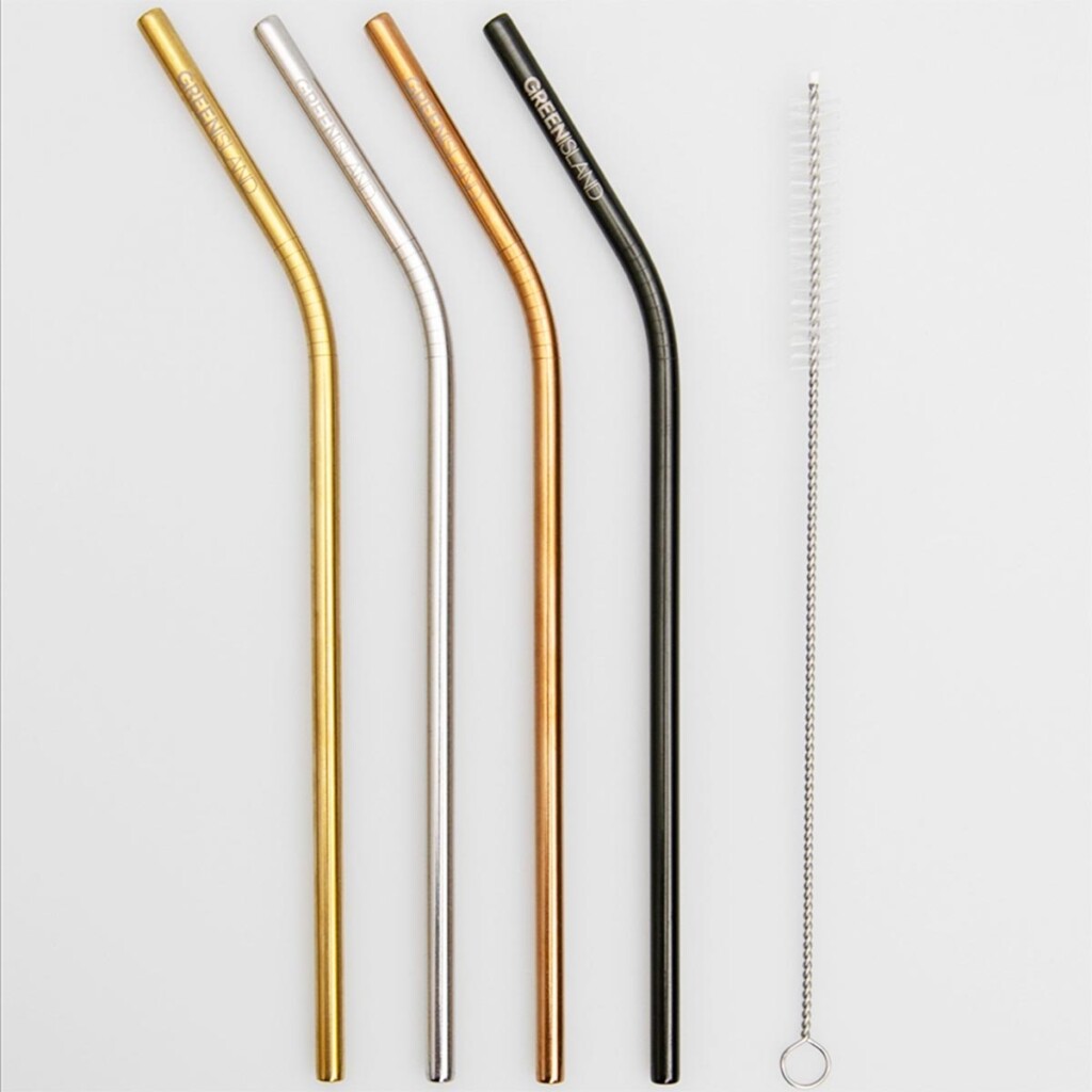 Green Island Stainless Steel Angled Straws - 4 Pack with Brush