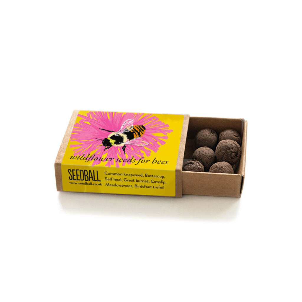 Bumblebee Seedball Box - Peace With The Wild