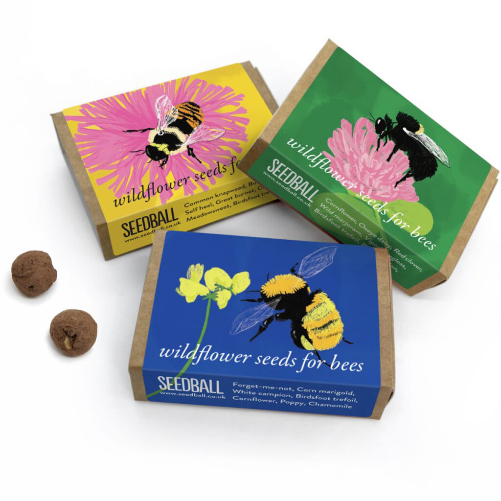 Bumblebee Seedball Box - Peace With The Wild