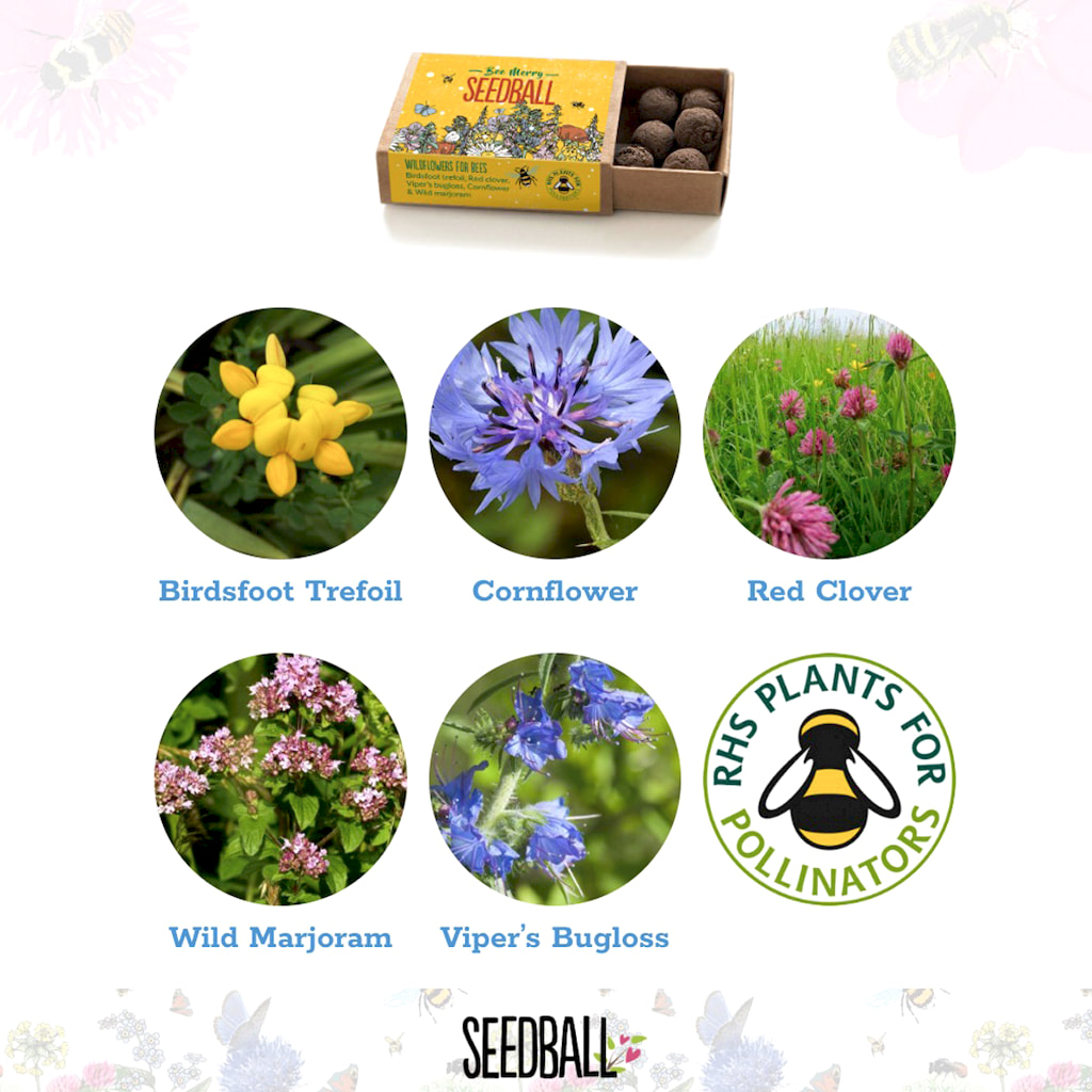 Christmas Wildflowers Seedball Box - Peace With The Wild