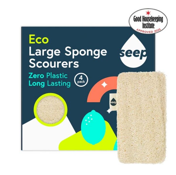 Eco Large Sponge Scourers